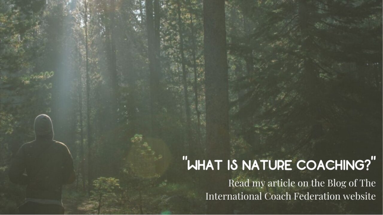 Converge19: Nature Coaching Workshop - Nature Coaching Academy