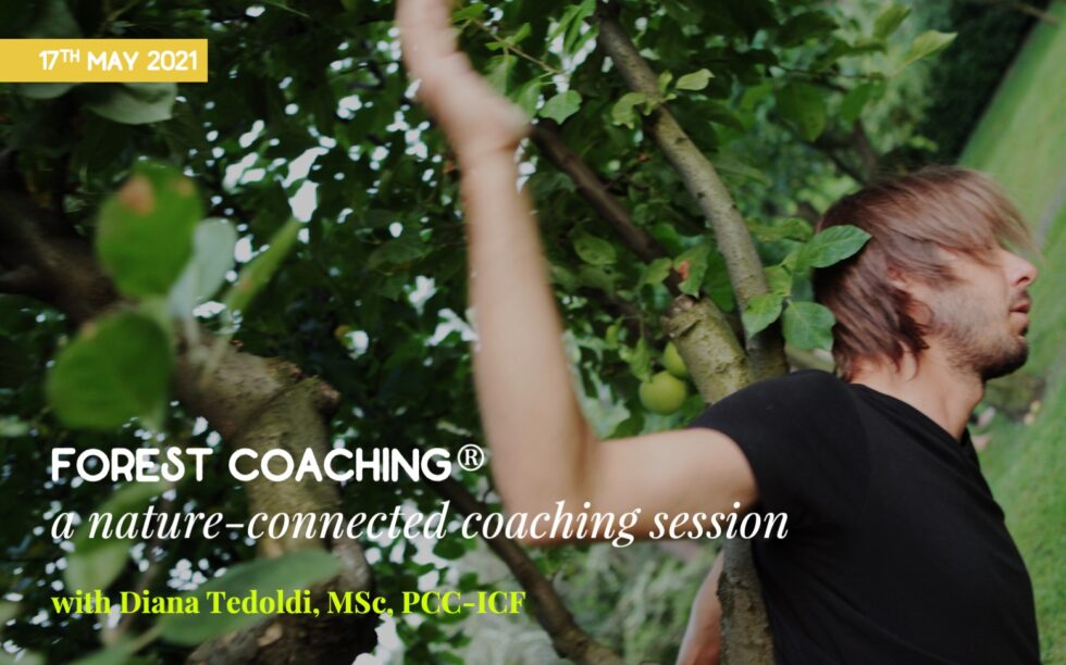 Forest coaching workshop - Nature Coaching Academy