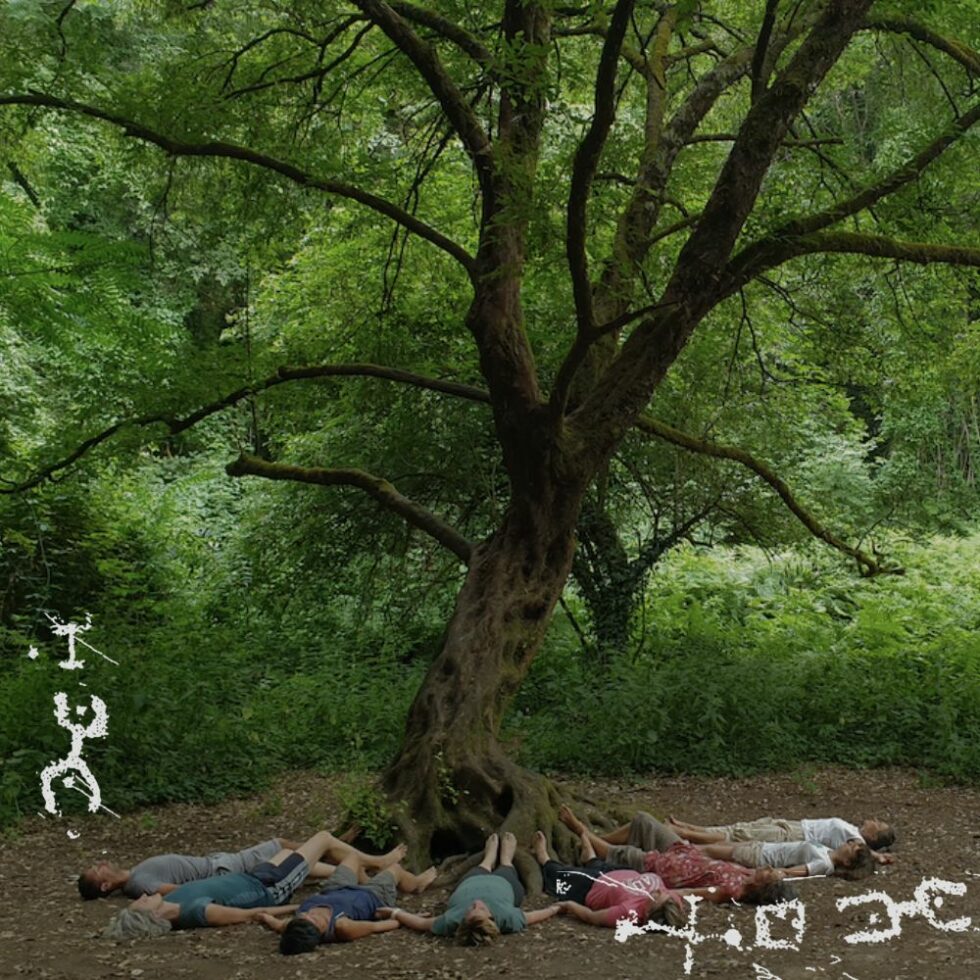 Nature Immersions and nature coaching courses - Nature Coaching Academy