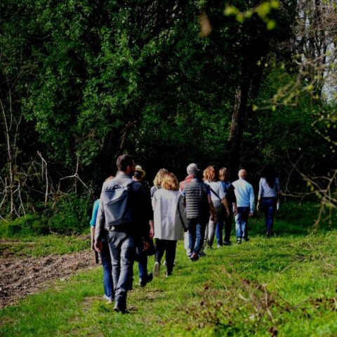 Nature Coaching - Nature Coaching Academy