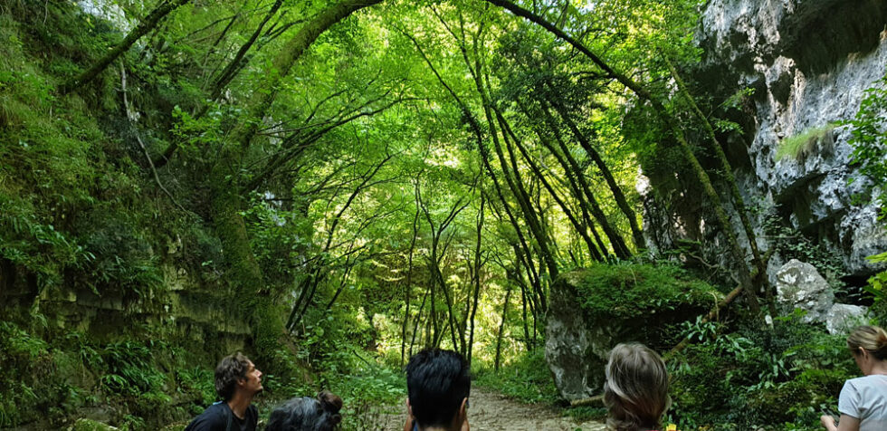 Nature Coaching - Nature Coaching Academy